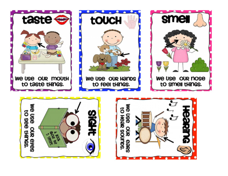 Five Sense Flashcards | PDF