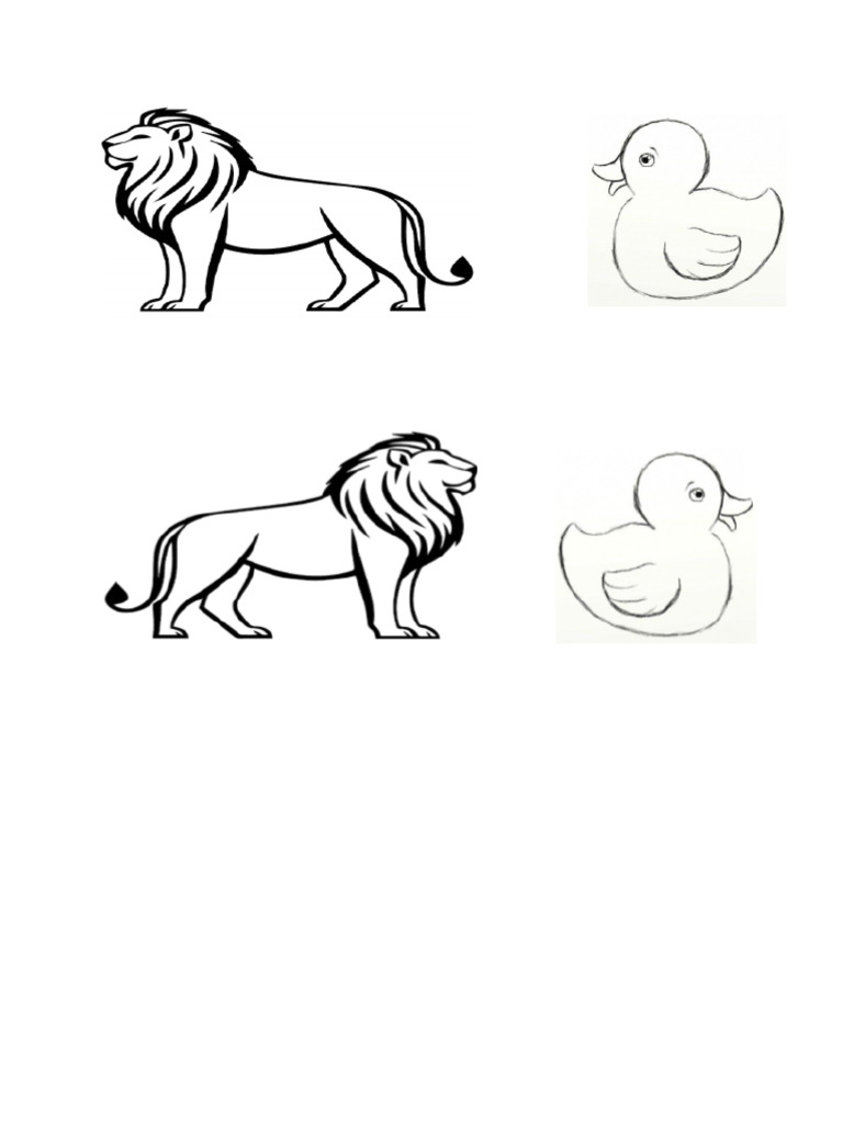 Lion & Duck Patterns | PDF