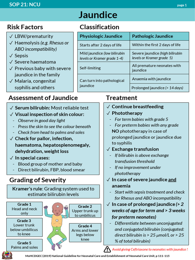 Jaundice Grading and Management Guidelines | PDF | Pediatrics | Human ...
