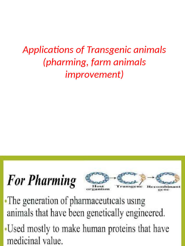 A1051382564 - 11692 - 6 - 2025 - Animal Pharming BTY372 | PDF