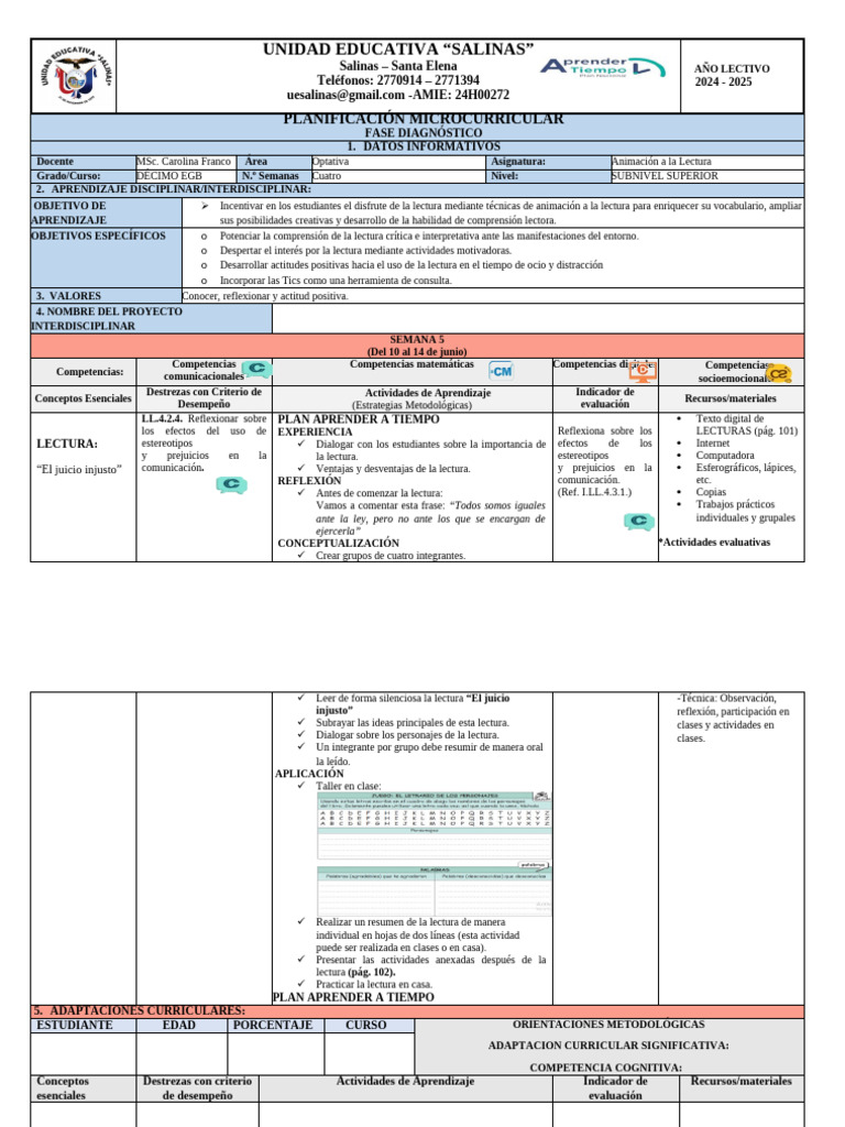 Planificacion Animación a La Lectura DECIMO EGB | PDF | Aprendizaje | Modificación de comportamiento