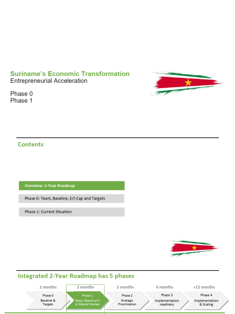 Suriname Baseline Data Towards Economic Development | PDF ...