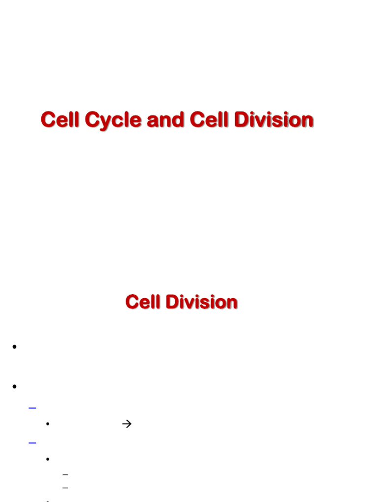Cell Cycle and Cell Division | PDF | Meiosis | Mitosis