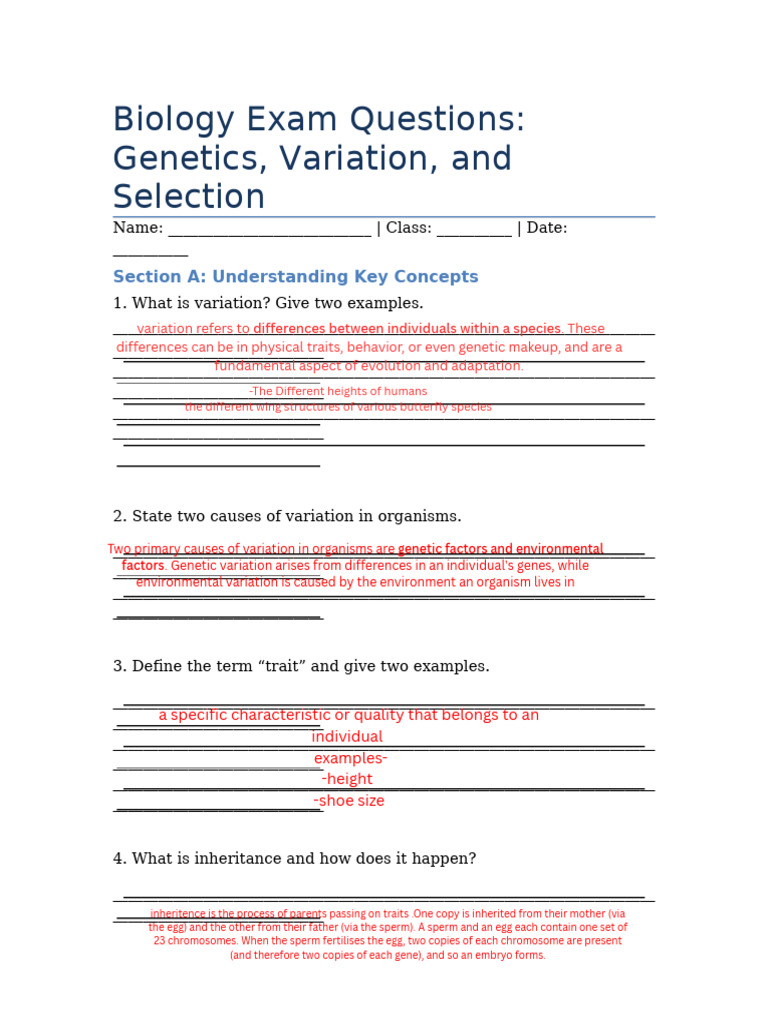 Genetics and Variation Biology Exam | PDF | Genetics | Heredity