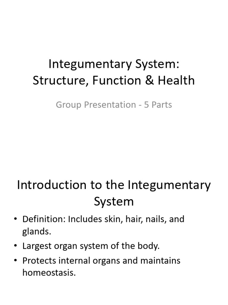 Integumentary System Presentation | PDF