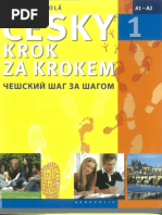 Basic Czech 1 | PDF