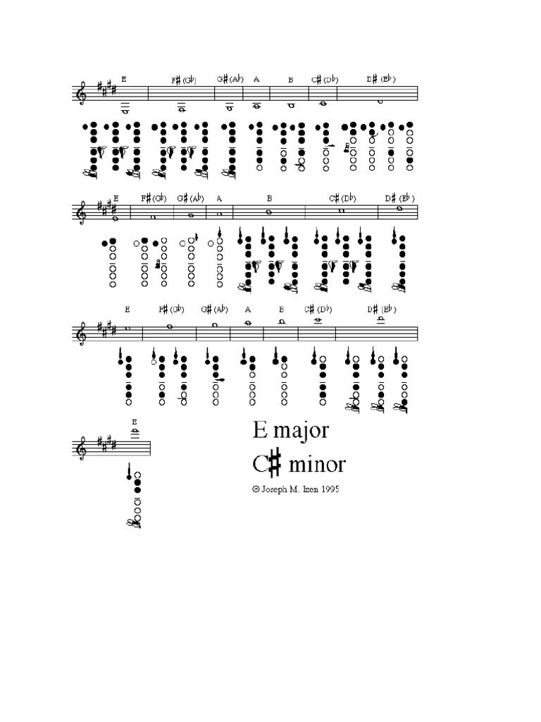 Emaj | PDF