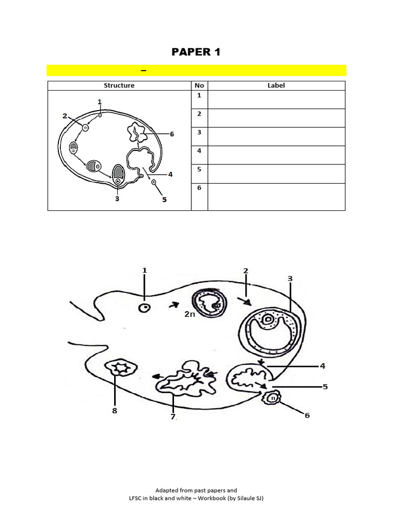 Life Sciences Exam Prep Manual 2024 | PDF | Natural Selection | Ovary