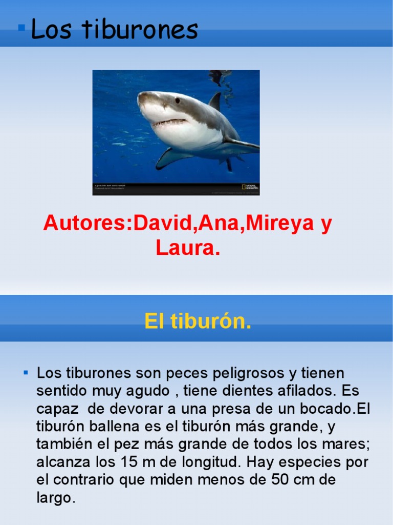 Los Tiburones | PDF | Tiburones | Tigre