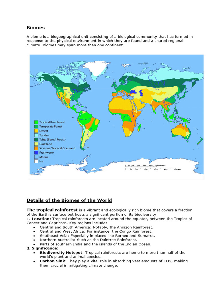 Overview of Global Biomes and Their Importance | PDF | Grassland | Desert