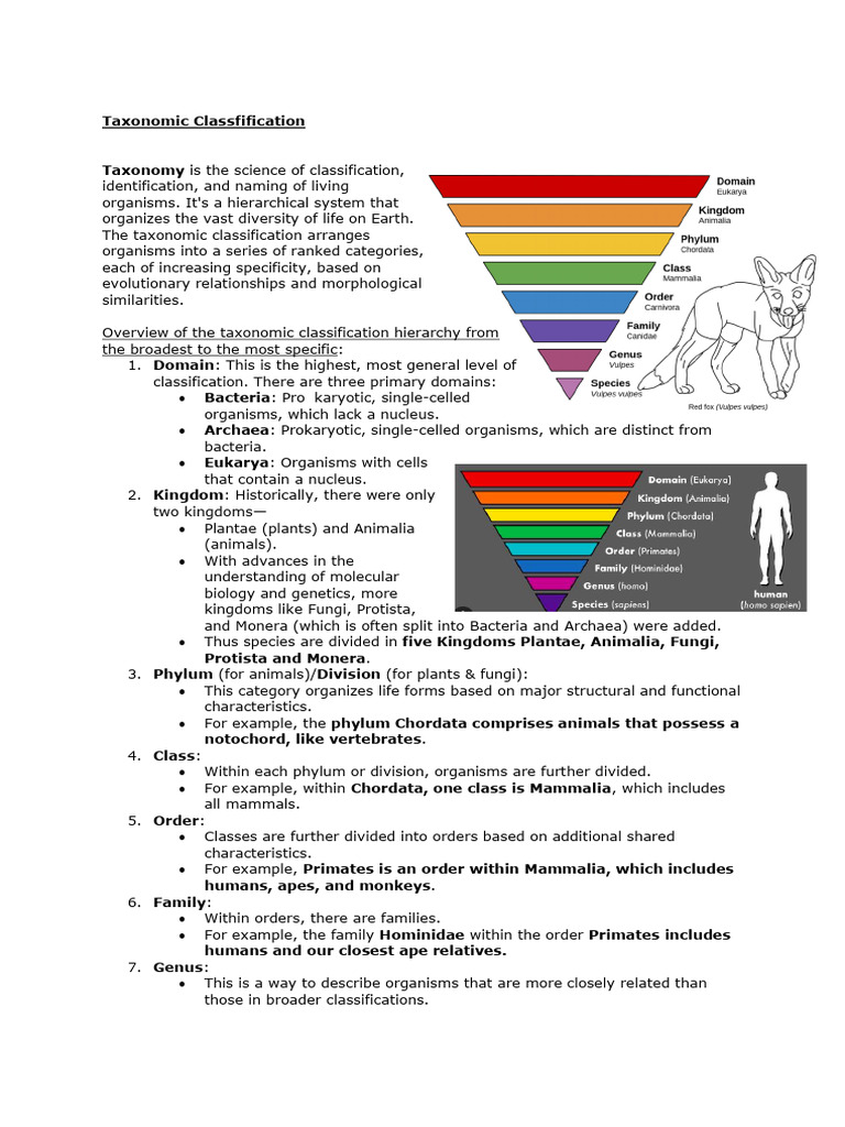 Classroom 2 Taxonomic Classfification | PDF | Plants | Reptile