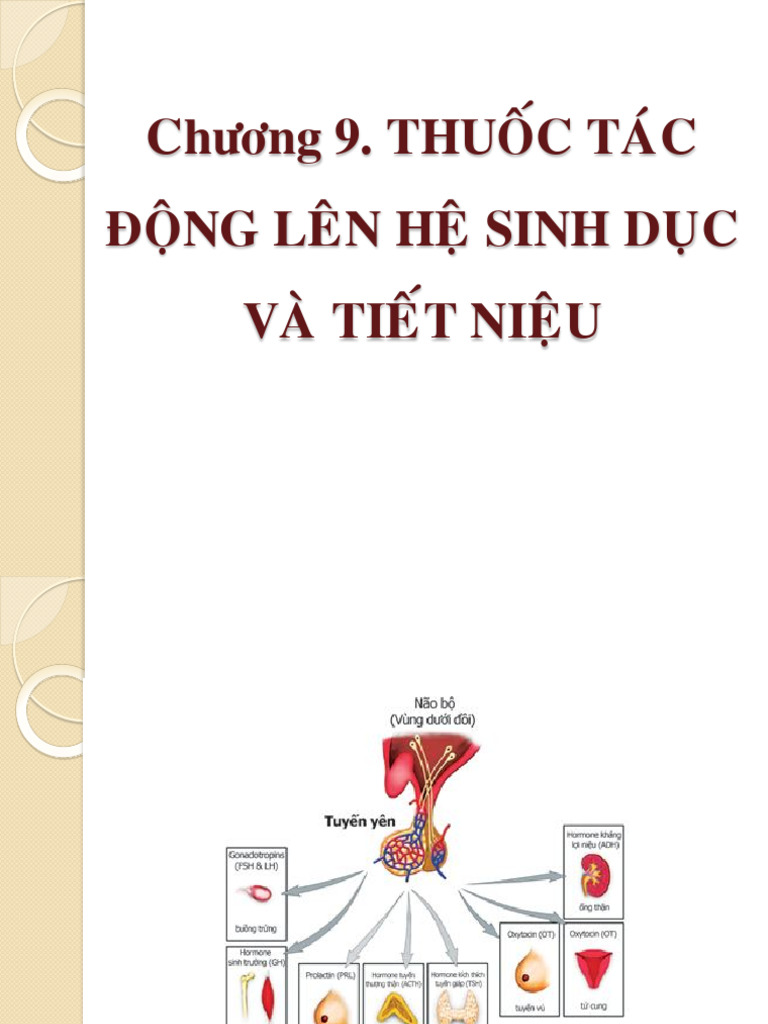 9-Thuoc Tac Dong Le He Sinh Duc Va He Tiet Nieu | PDF