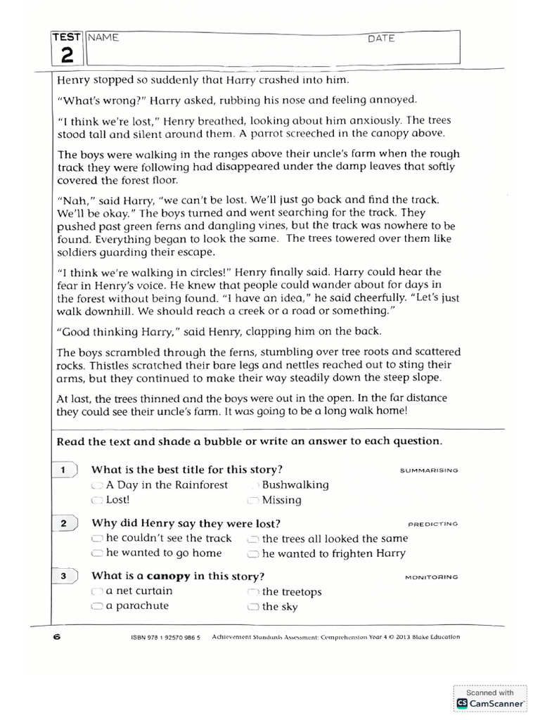 Year 4 Comprehension | PDF