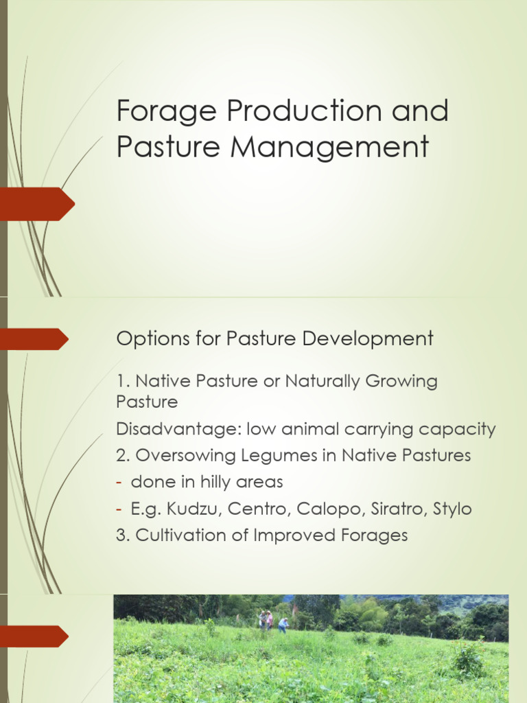 Forage Production and Pasture Management | PDF