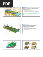 Formation and Importance of Braided Channels | PDF | River | Ecology