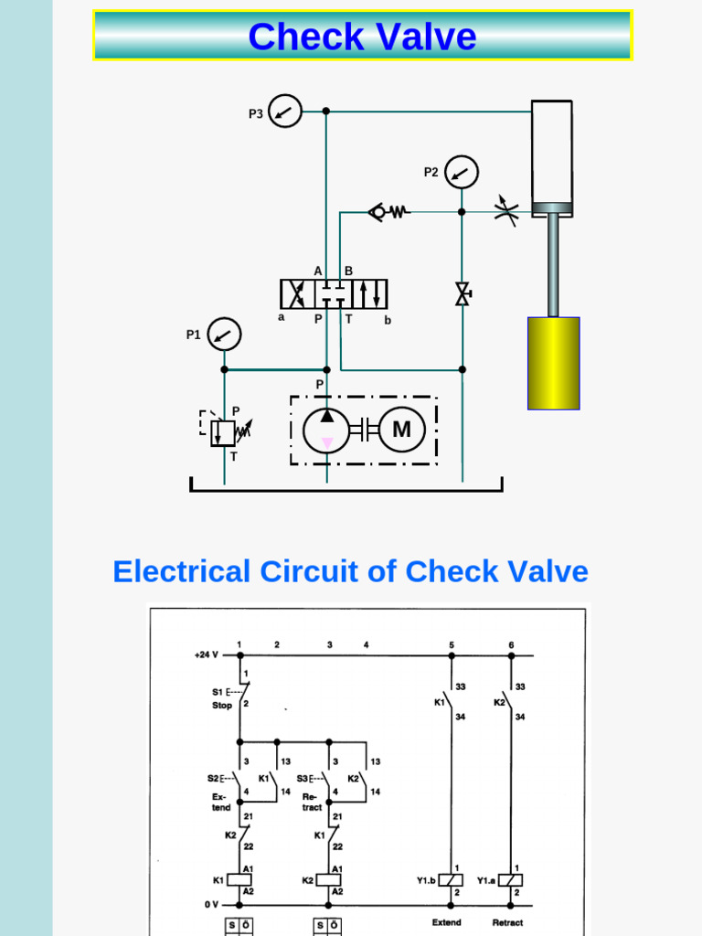 Check Valve | PDF