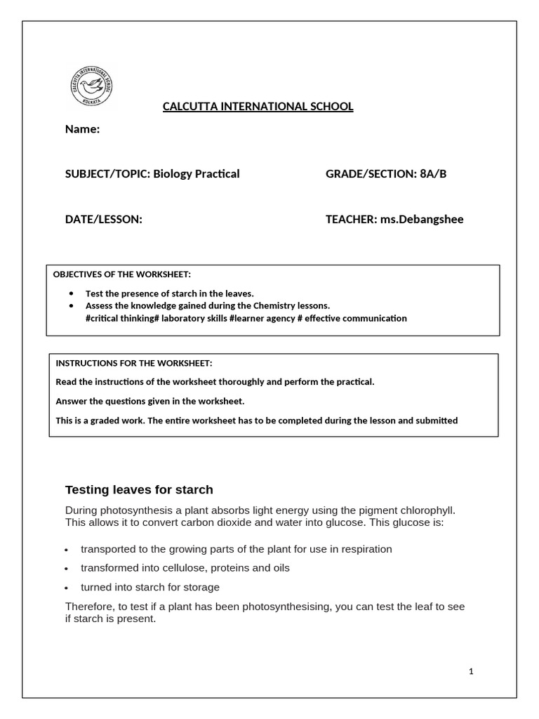 Garde 8 Starch Test Practical | PDF | Photosynthesis | Biology