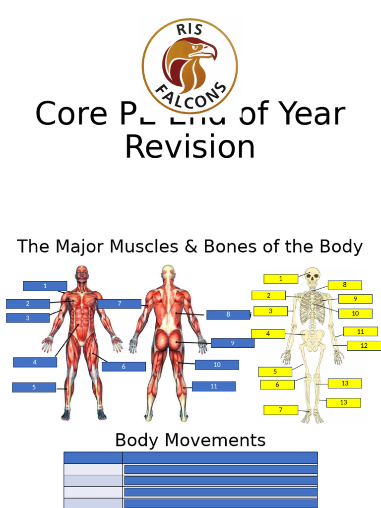 Core PE Year-End Revision Guide | PDF | Physical Fitness | Physical ...