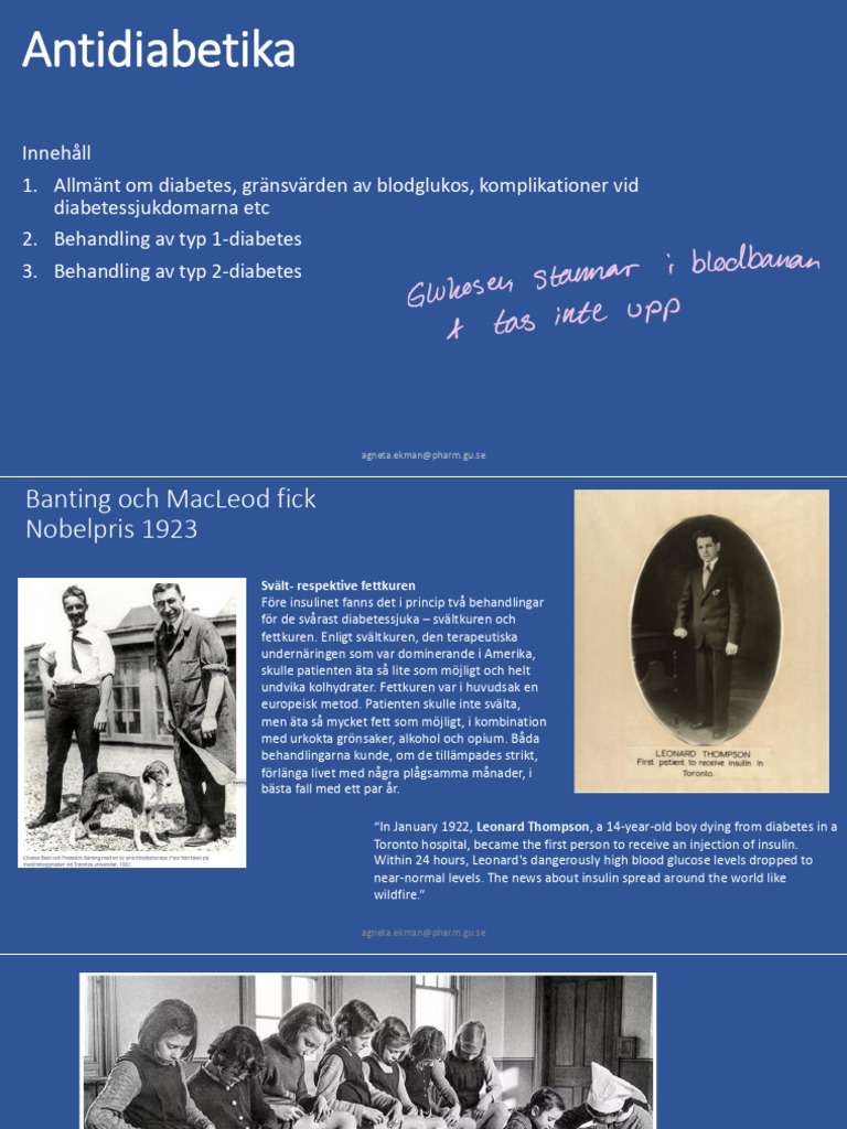 Antidiabetika SSK | PDF