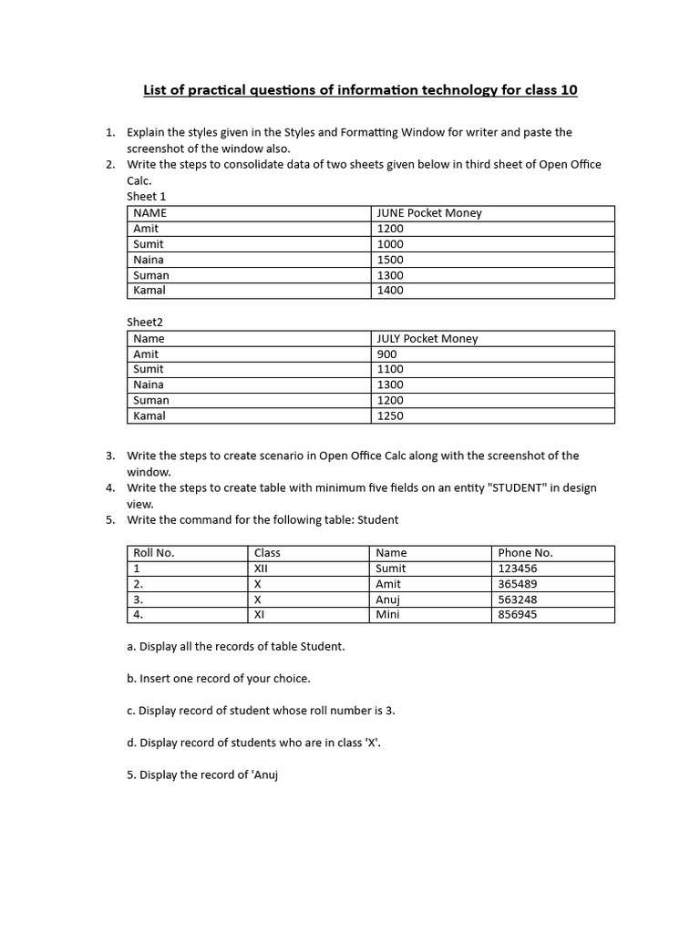 Class 10 Practical | PDF