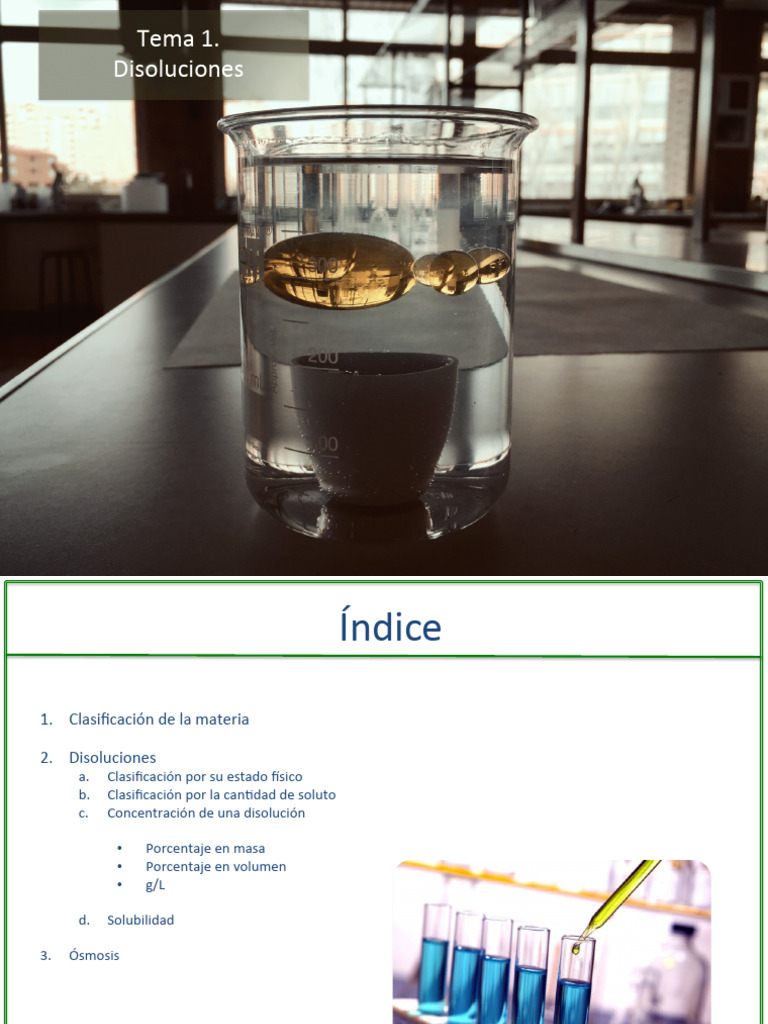 Tema1.Disoluciones | PDF | Solubilidad | Concentración