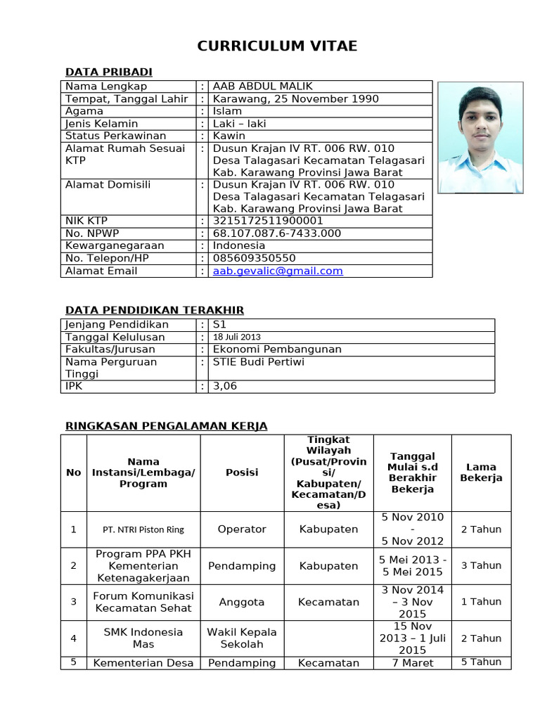 Contoh CV TPP 2020 | PDF