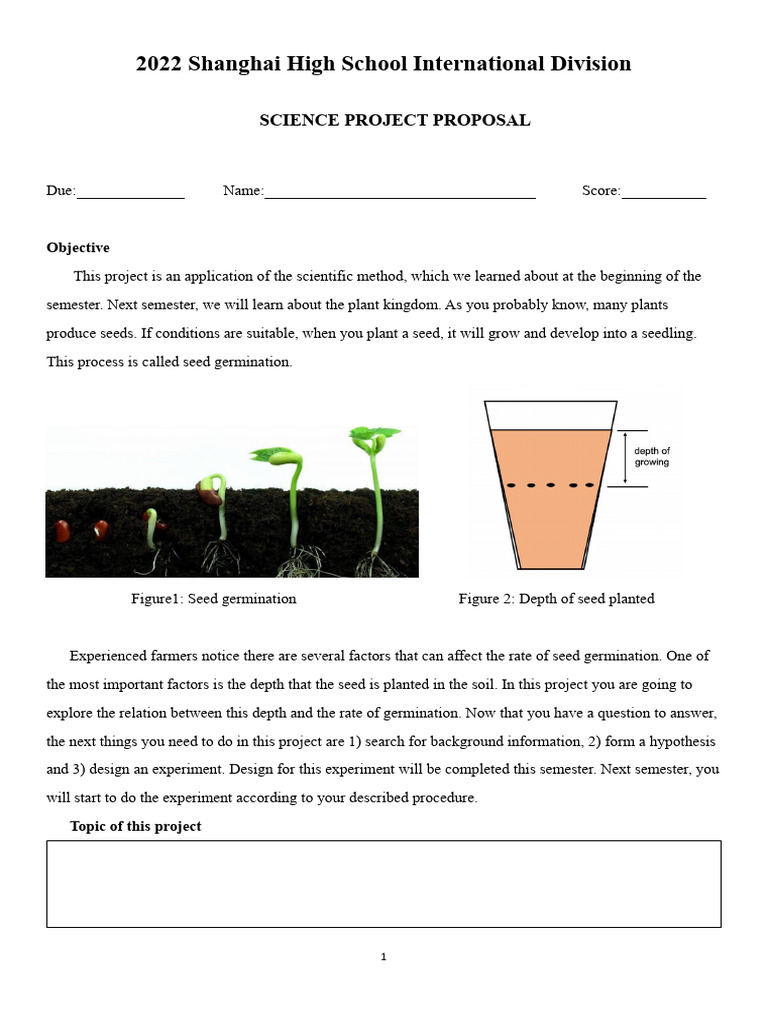 g6 - Science Project Proposal | PDF | Experiment | Seed