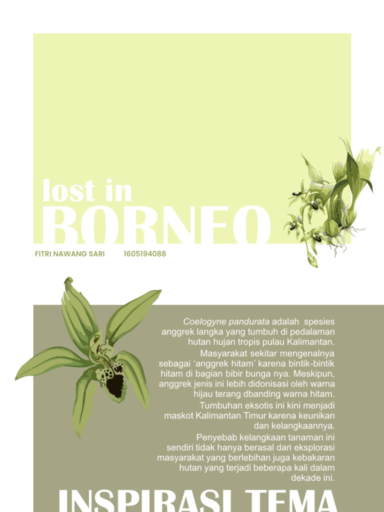 Lost in Borneo - Fitri Nawang Sari - 1605194088 - Tugas 2 Sub Tema ...