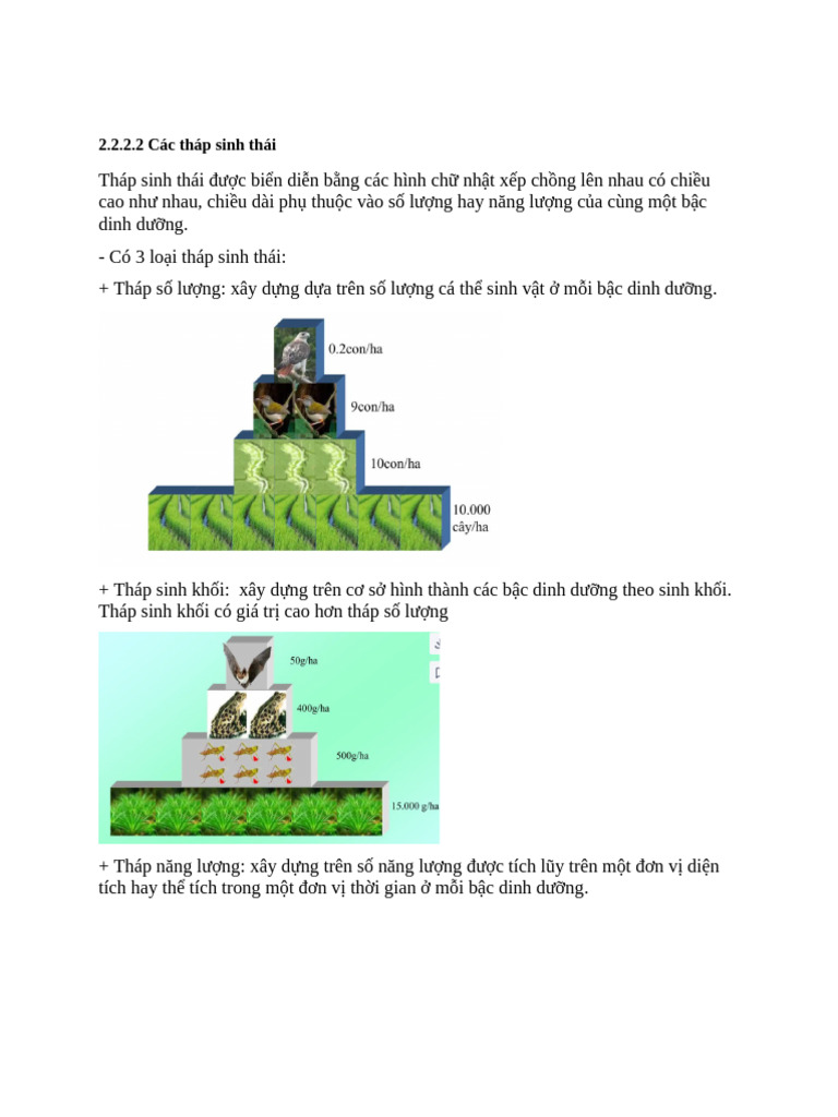 GDMT | PDF
