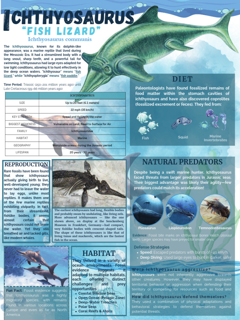 ICHTHYOSAURUS | PDF | Zoology