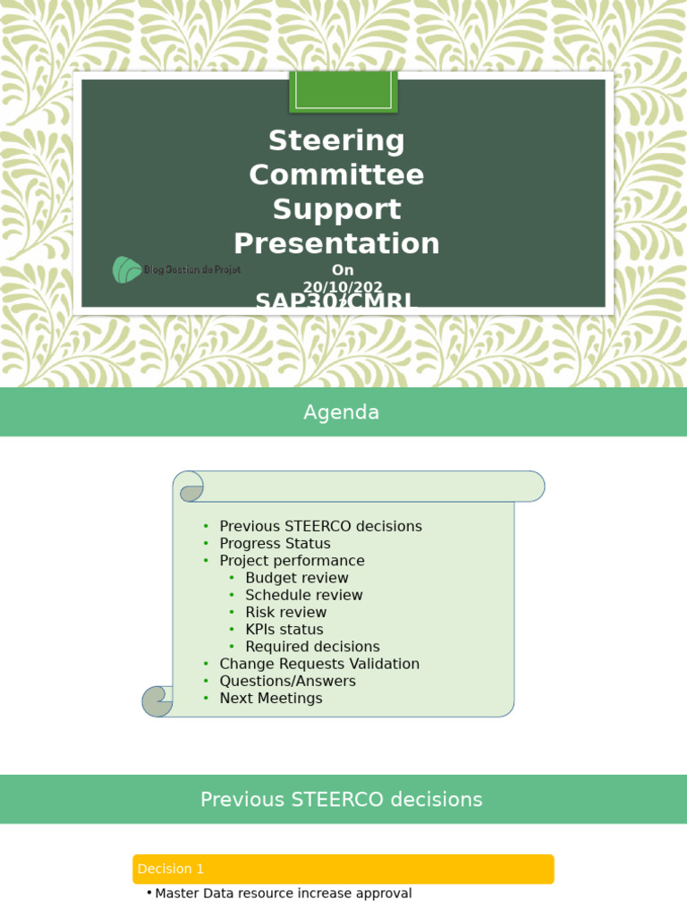 32 - Steering Committee Presentation en | PDF | Performance Indicator ...