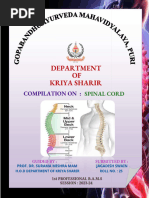 Gen-Payne Capsules: Uses and Dosage | PDF | Nonsteroidal Anti ...
