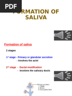 Understanding Sialogogues and Their Uses | PDF | Saliva | Medical ...