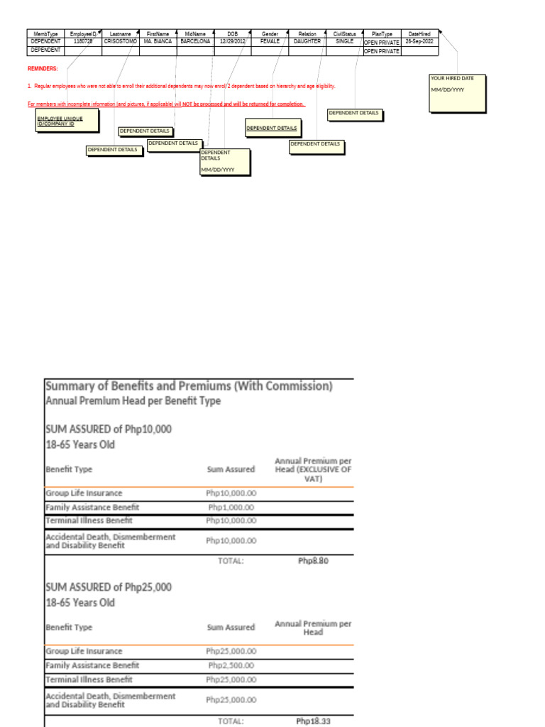 Dependent Declaration Form - 2nd & 3rd | PDF | Life Insurance ...