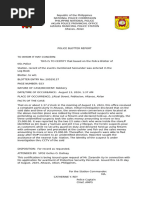 Extract Copy From Police Blotter | PDF