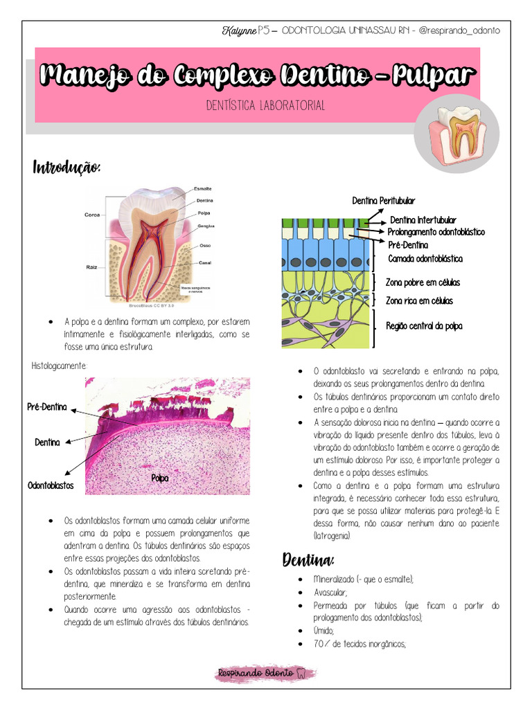 4 - Manejo Do Complexo Dentino-Pulpar (Resumo) | PDF | Dentina | Esmalte dentário