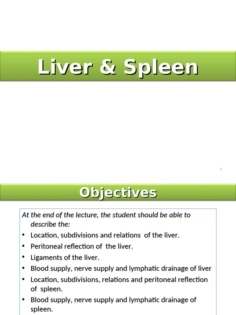 Lecture 5 - Liver & Spleen Dec. 2013 | PDF | Liver | Abdomen
