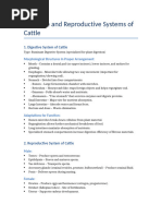 Cow Anatomy | PDF