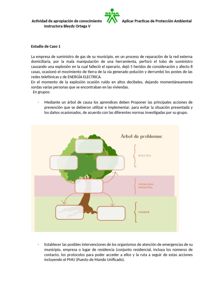 Actividad Grupal Solución de Keyner López Sotelo | PDF | Contaminación | Residuos