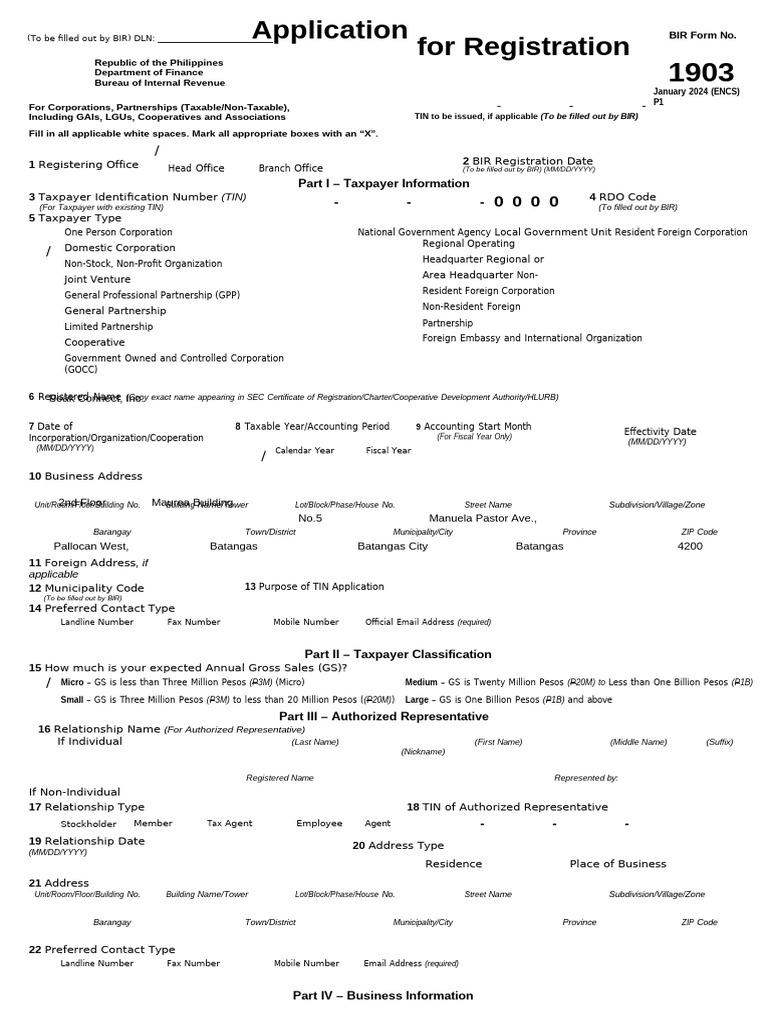 BIR Form 1903: Business Registration Guide | PDF | Taxes | Capital ...