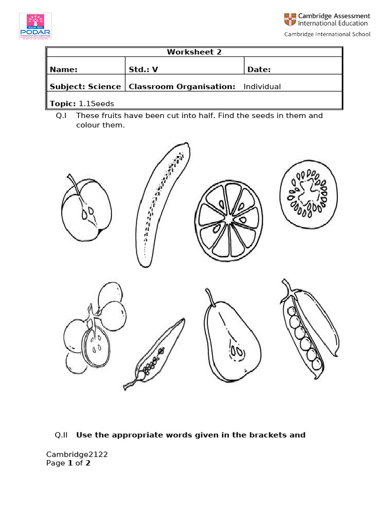 Worksheet 2 Cambridge V Sci Unit 1 Investigating Plant Growth | PDF