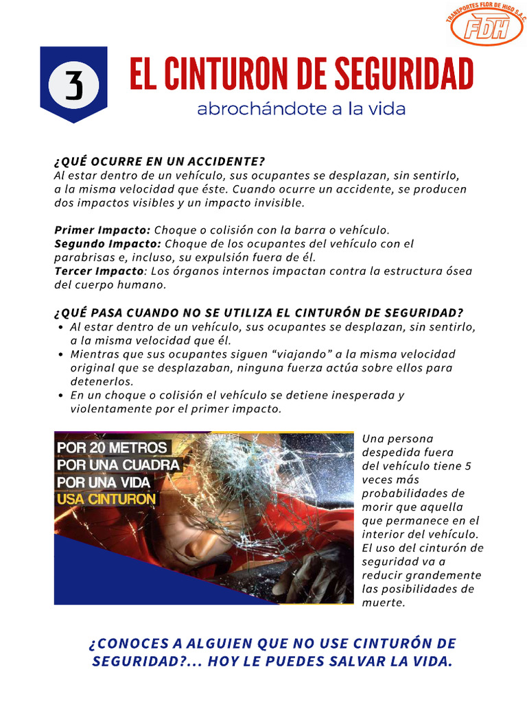 Tema #03 - El Cinturon de Seguridad | PDF