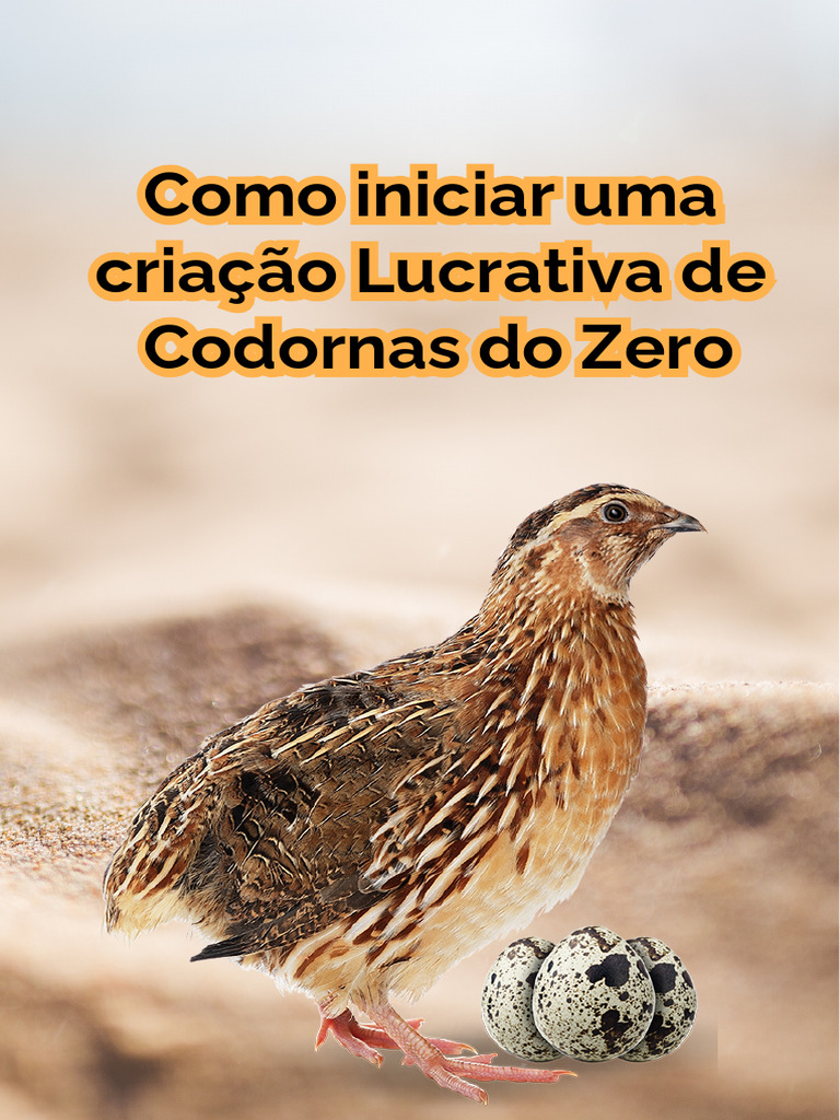 Guia Prático para Criar Codornas Lucrativas | PDF | Marketing | E-commerce