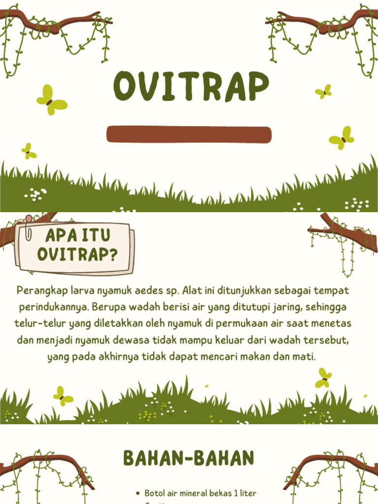 Panduan Membuat Ovitrap Nyamuk | PDF