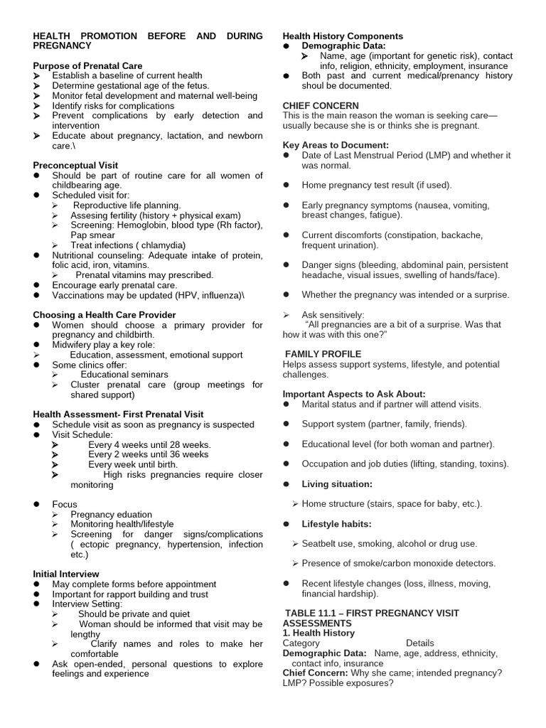 Health Promotion Before and During Pregnancy | PDF | Pregnancy ...
