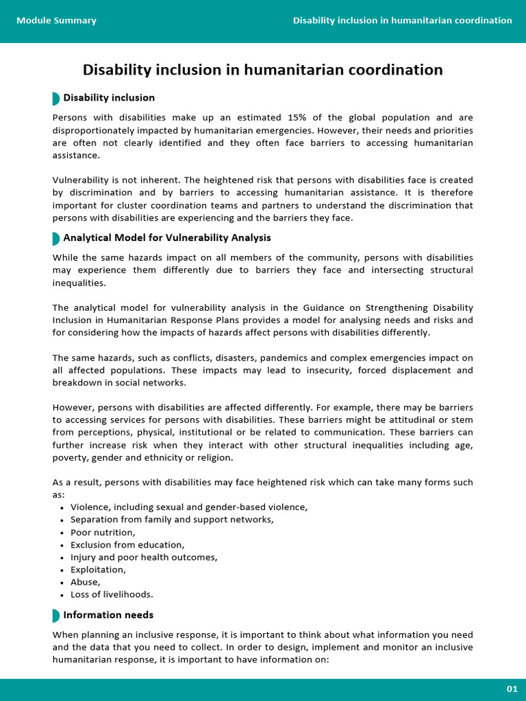 Disability Inclusion in Humanitarian Coordination | PDF | Disability ...