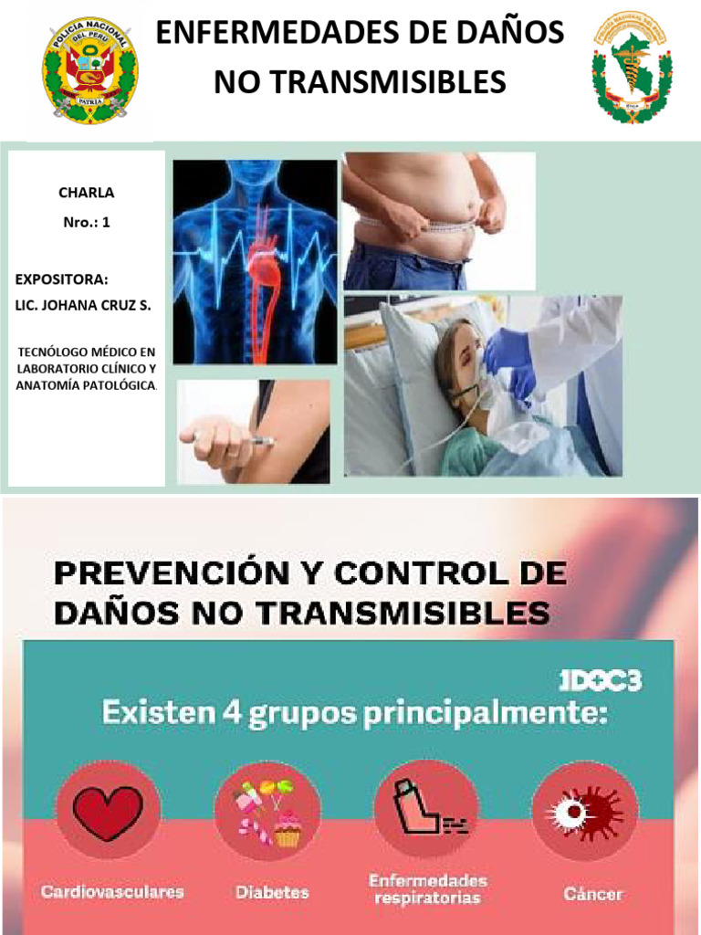 Diapos Charla 1 PNP | PDF
