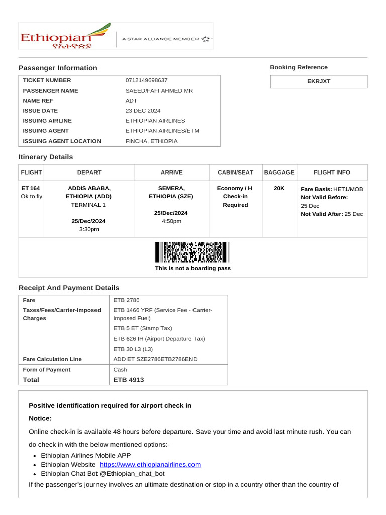 Electronic Ticket Receipt, December 25 For MR FAFI AHMED SAEED | PDF ...