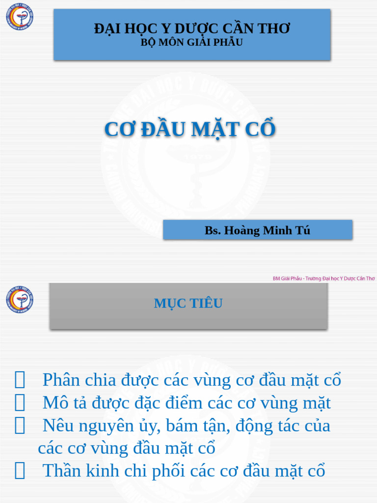 Co Dau Mat Co BMGP | PDF