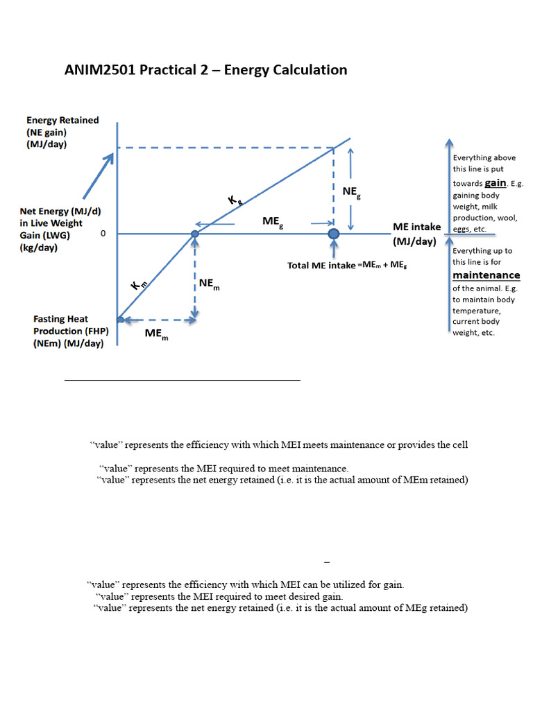 Energy Calculation Worksheet | PDF | Milk | Cattle